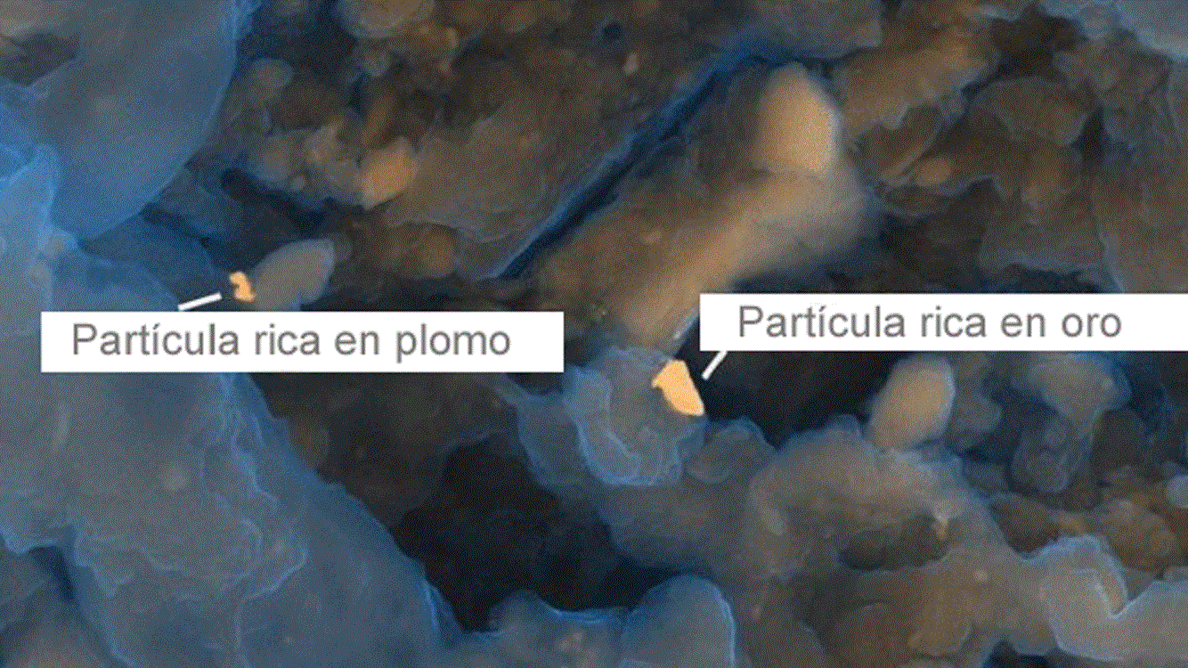 La riqueza más asquerosa: se puede sacar oro de la caca humana