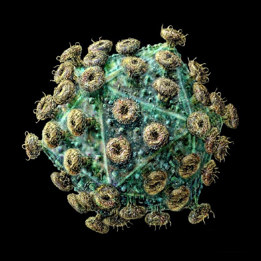 De qué sirven los retrovirus que están en genoma humano | Ciencia, Salud