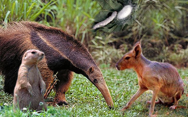 Conocé la solución y el ganador del enigma de la semana