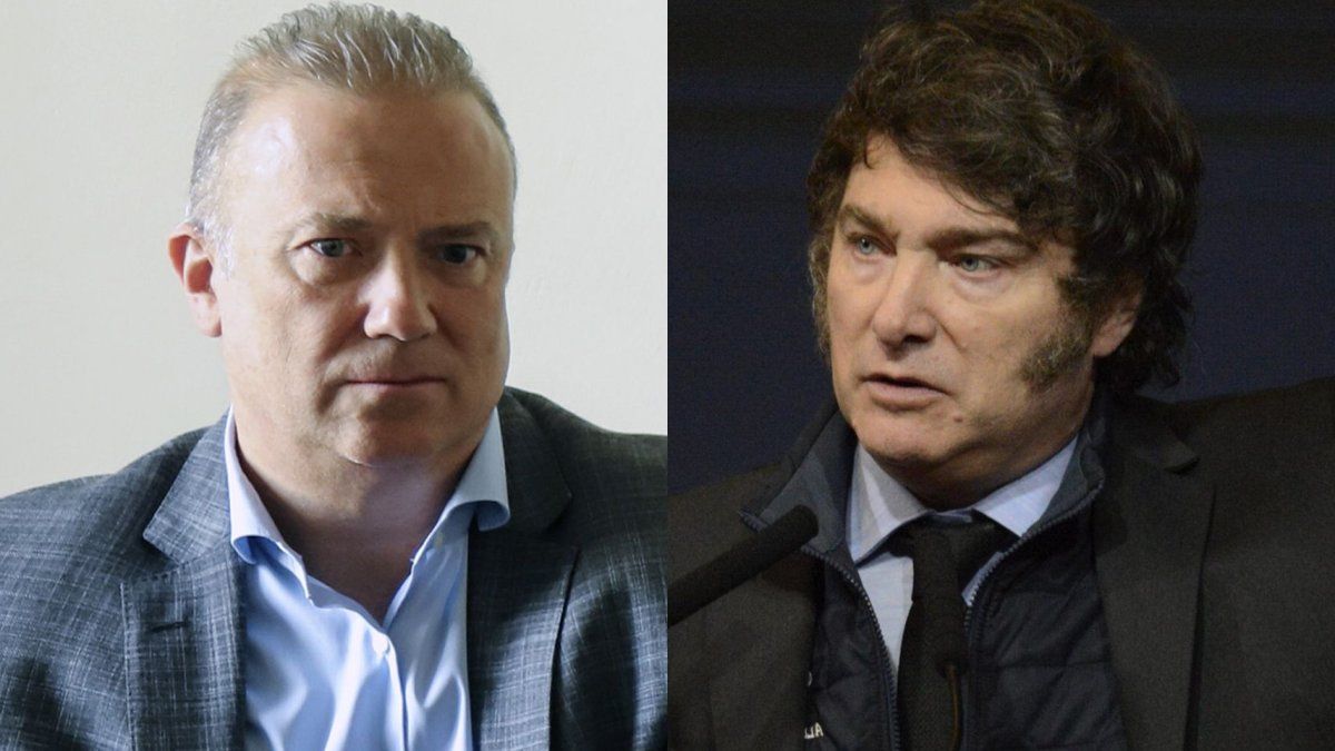 La advertencia de Andrés Gil Domínguez a Javier Milei por sus dichos ...