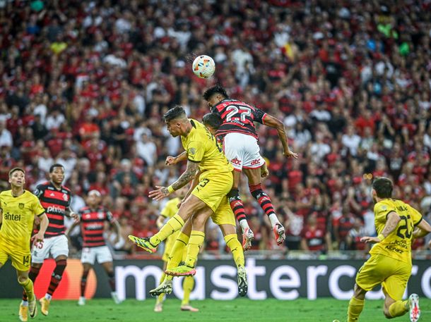 Pelota libre de riesgo en el celular: cómo ver en vivo Peñarol vs Flamengo