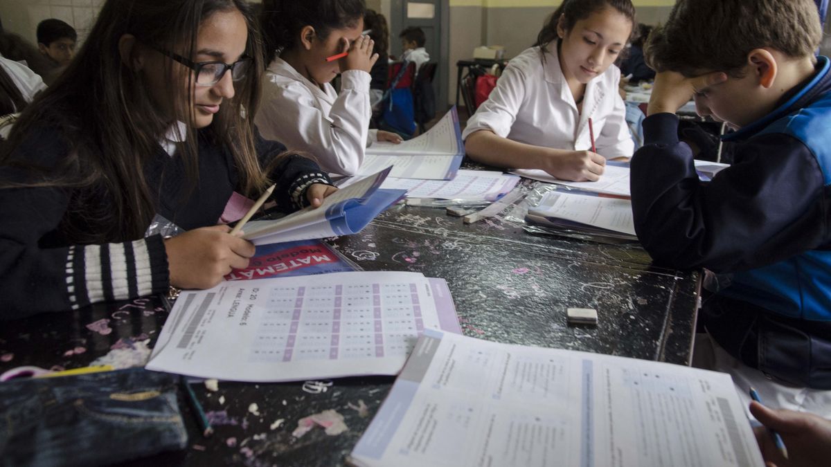 Aprender 2016: los resultados confirman la brecha educativa en Argentina