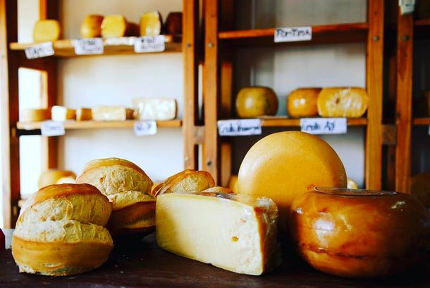 Circuito de sabores: Suipacha, el paraíso para los amantes del queso