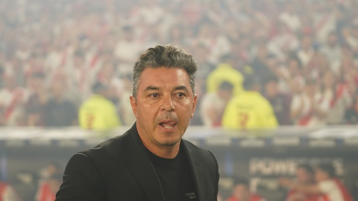 Marcelo Gallardo se disculpó con el periodista con el que se cruzó en ...