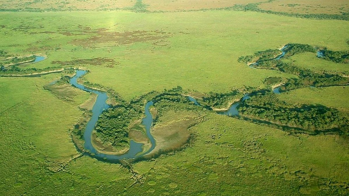 El Gobierno creó el Parque Nacional El Impenetrable en Chaco