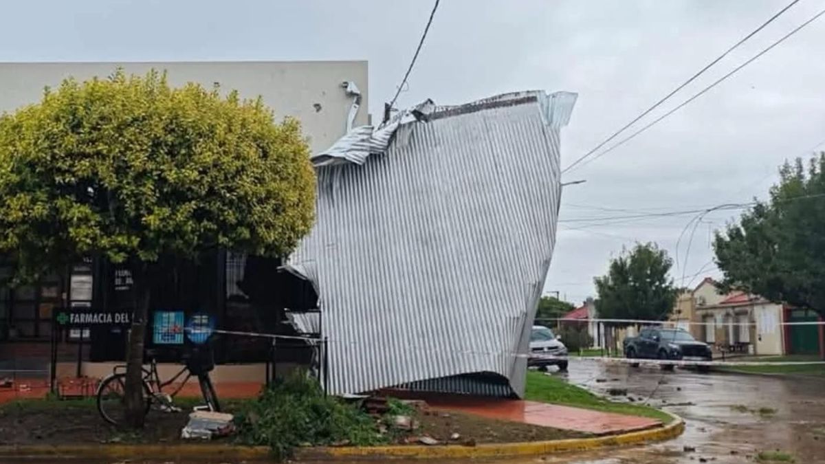 TECHOS VOLADOS y ÁRBOLES CAÍDOS en BRAGADO tras FUERTES TORMENTAS y GRANIZO