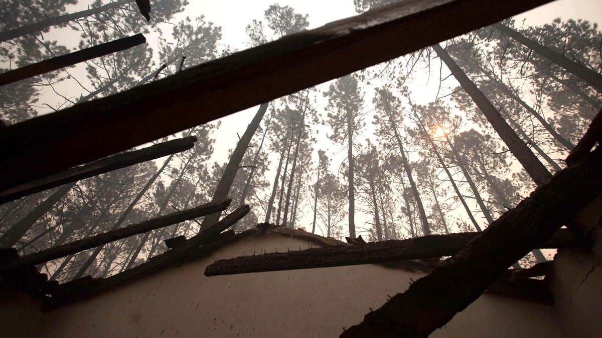 Las imágenes de la devastación en Córdoba