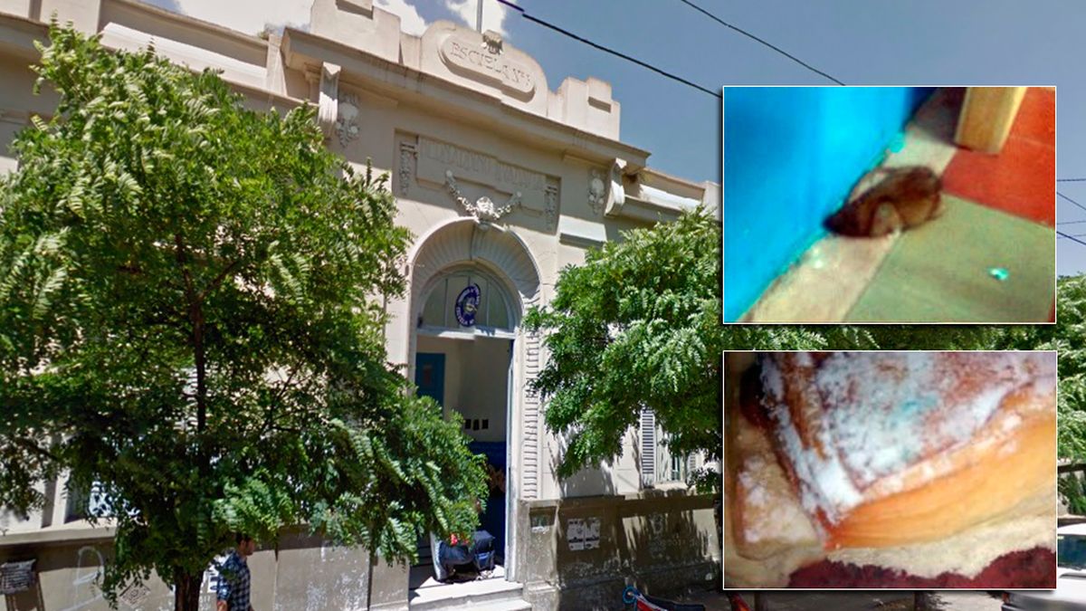 Denuncian presencia ratas y comida podrida en una escuela de Burzaco