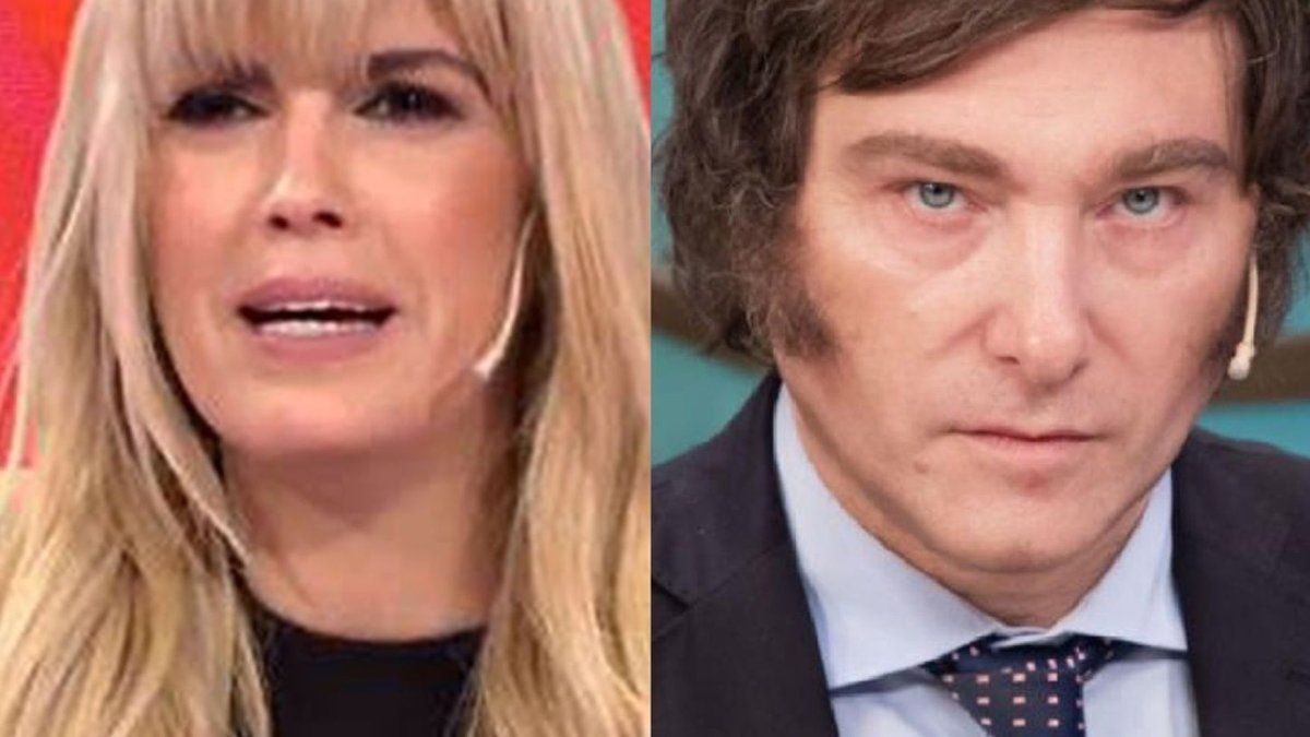 ¿PERIMETRAL para VIVIANA CANOSA? JAVIER MILEI la ACUSA de PERSECUCIÓN y ...