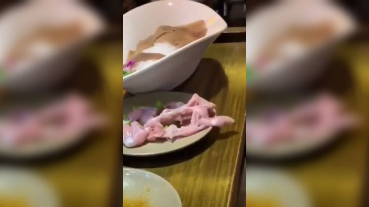 El extraño video del pollo zombie que escapó de un plato