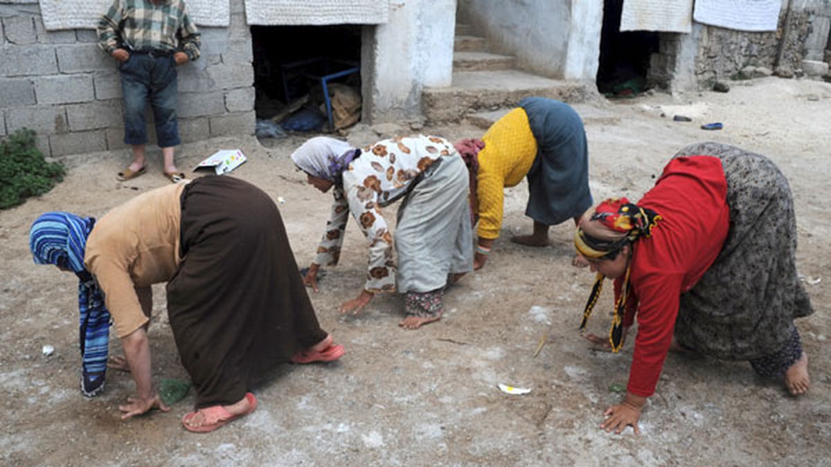 En Turquía, piden que aten a la familia mono