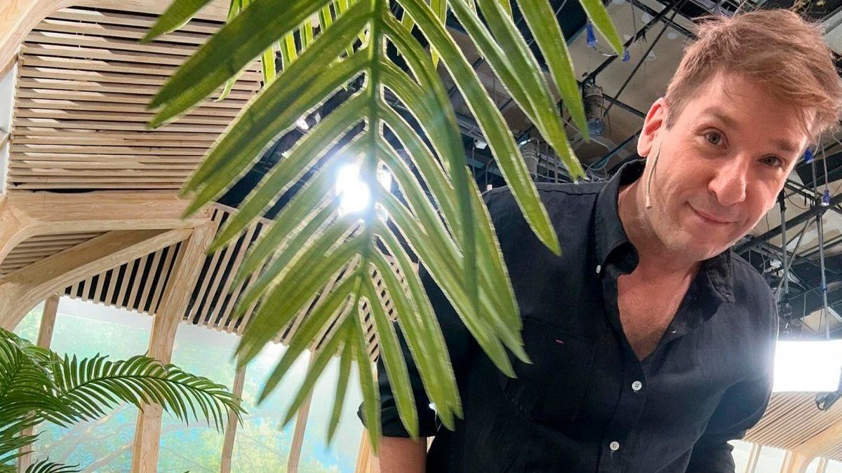 Paloma - Minutouno.com