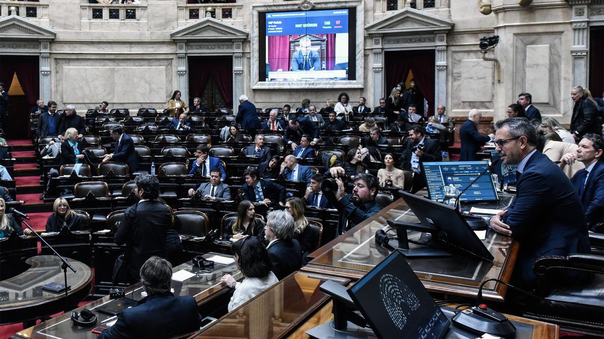 Cómo está el poroteo en Diputados para el rechazo a los vetos de Javier ...
