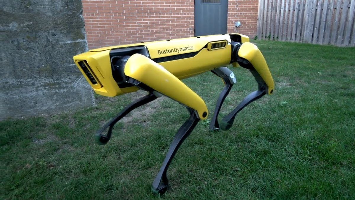 ¿Es el futuro? El perro robot que revoluciona al mundo: abre la puerta ...