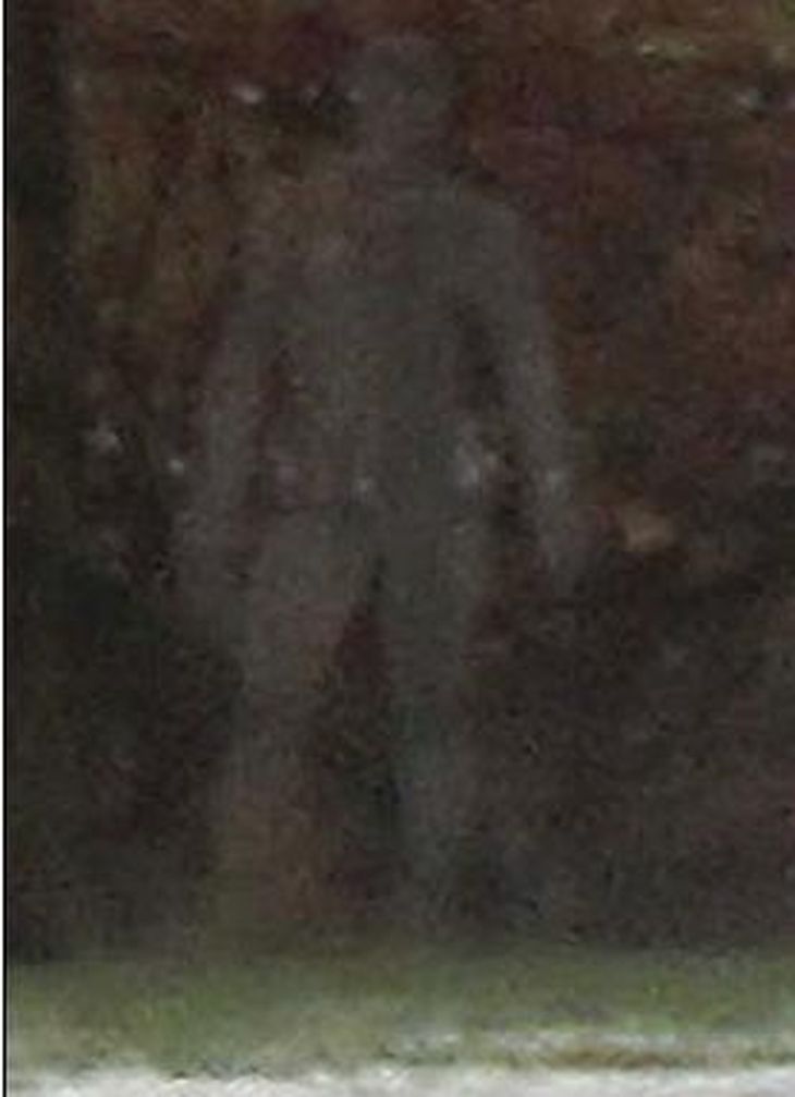 Un hombre fotografió a fantasma en un bosque y expertos afirman que la ...
