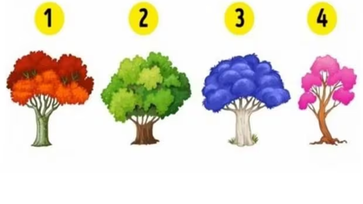 Test viral: el árbol que elijas revelará cómo es tu personalidad