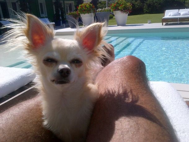 Marcelo Tinelli descansa en Uruguay no tan solo