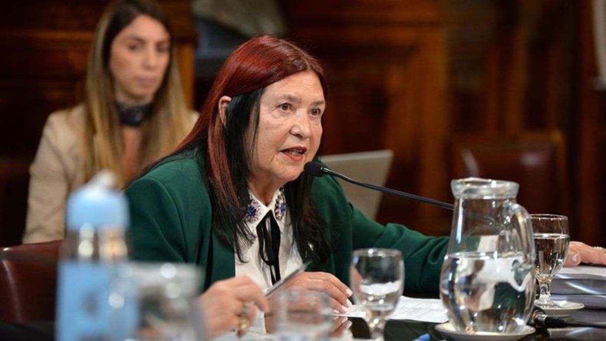 El Senado aprobó la continuidad de la jueza Ana María Figueroa