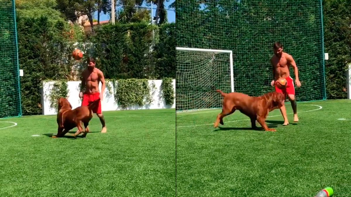 Marcale un gol, papi: Messi bailó a su perro y Thiago fue su mejor hincha