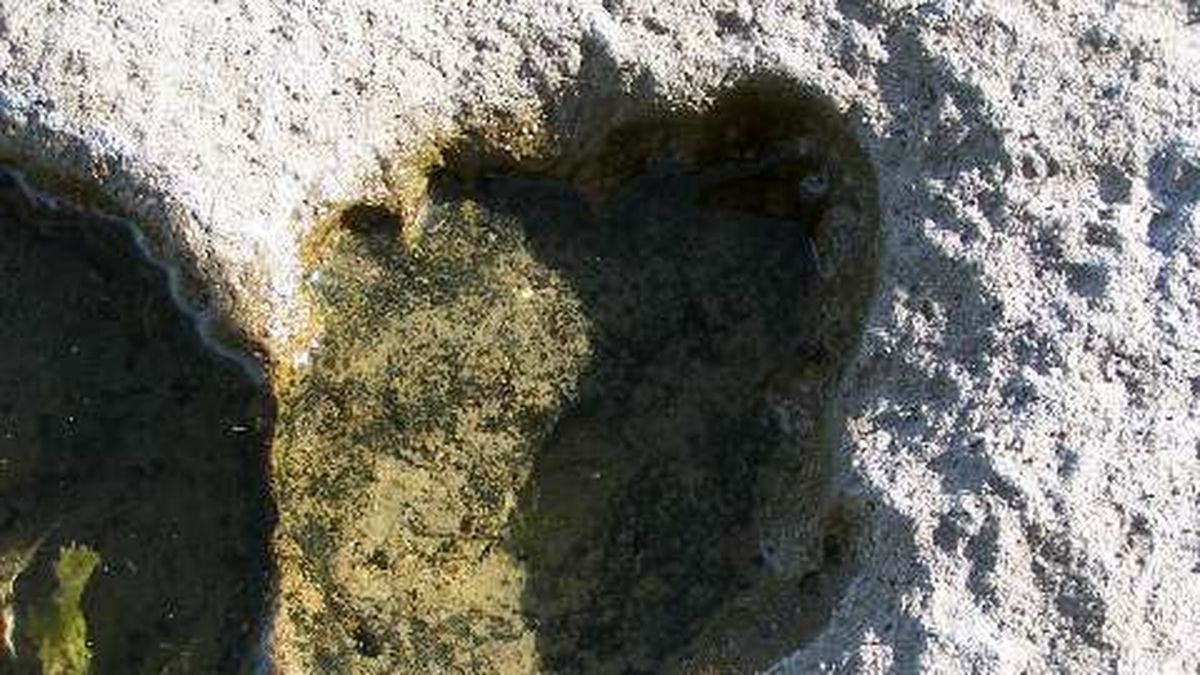 Hallan pisadas humanas y de animales primitivos de unos 29 mil años atrás