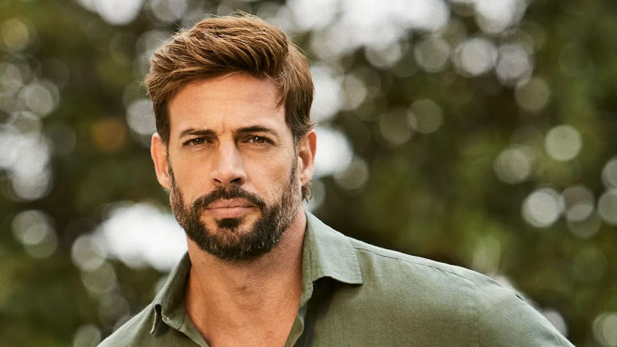 Arrestaron al actor William Levy por intoxicación desordenada: su foto ...