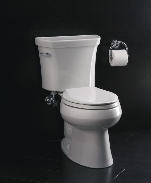 Hoy es el día mundial del inodoro: ¿sabías por qué?