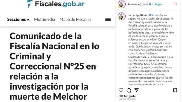 La defensa de Tamara Pettinato a su hermano Felipe por la muerte de ...