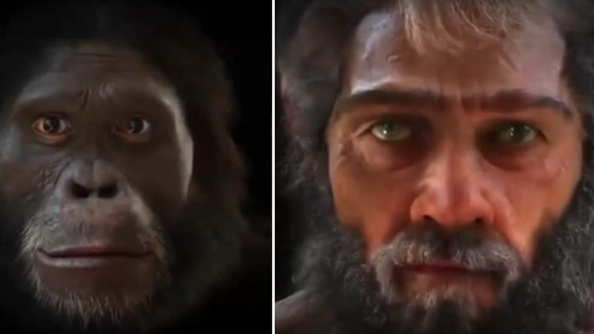 La evolución del ser humano: 6 millones de años en 60 segundos