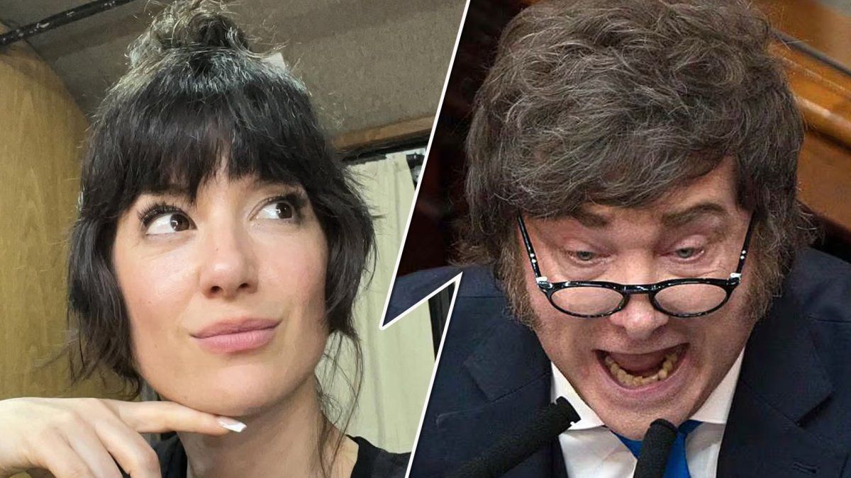Malena Pichot destrozó a Javier Milei y generó revuelo en redes ...