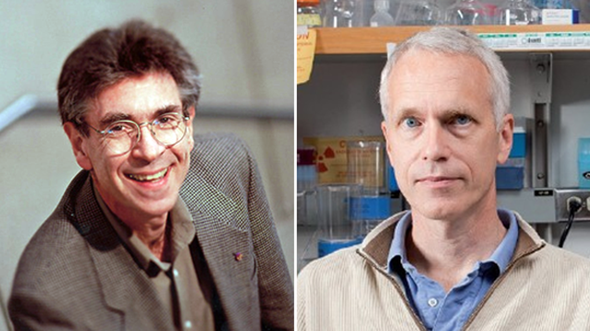 Premiaron a dos estadounidenses con el Nobel de Química