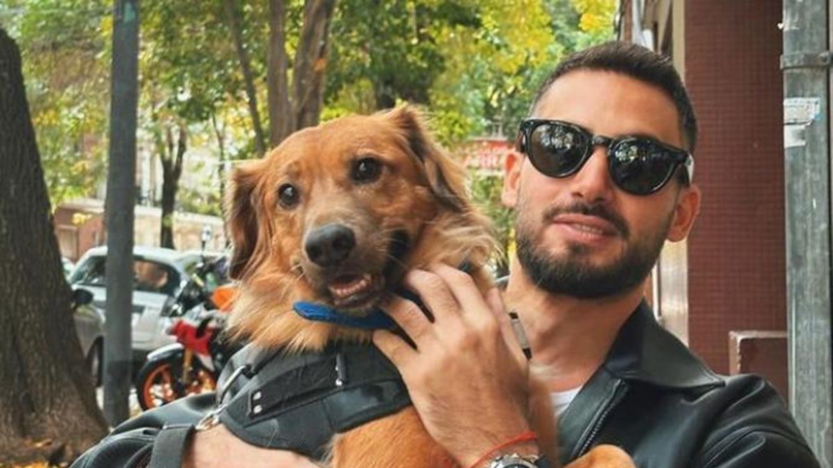 El tierno video viral de Nico Occhiato y su perro Carlos: Se hace el ...