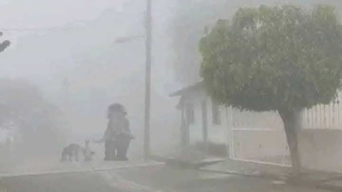 Memes bajo cero: las redes estallaron ante la expectativa de nieve en ...