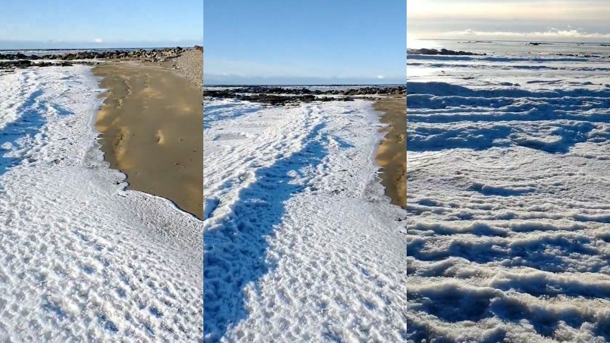 Tierra del Fuego: se congeló el mar por la intensa helada