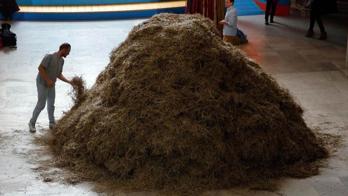 Un artista tarda apenas un día en encontrar una aguja en un pajar