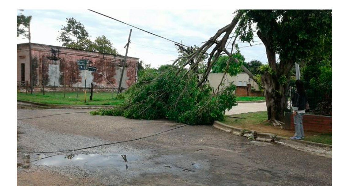 Corrientes Una Cola De Tornado Provocó Destrozos En Varias Localidades