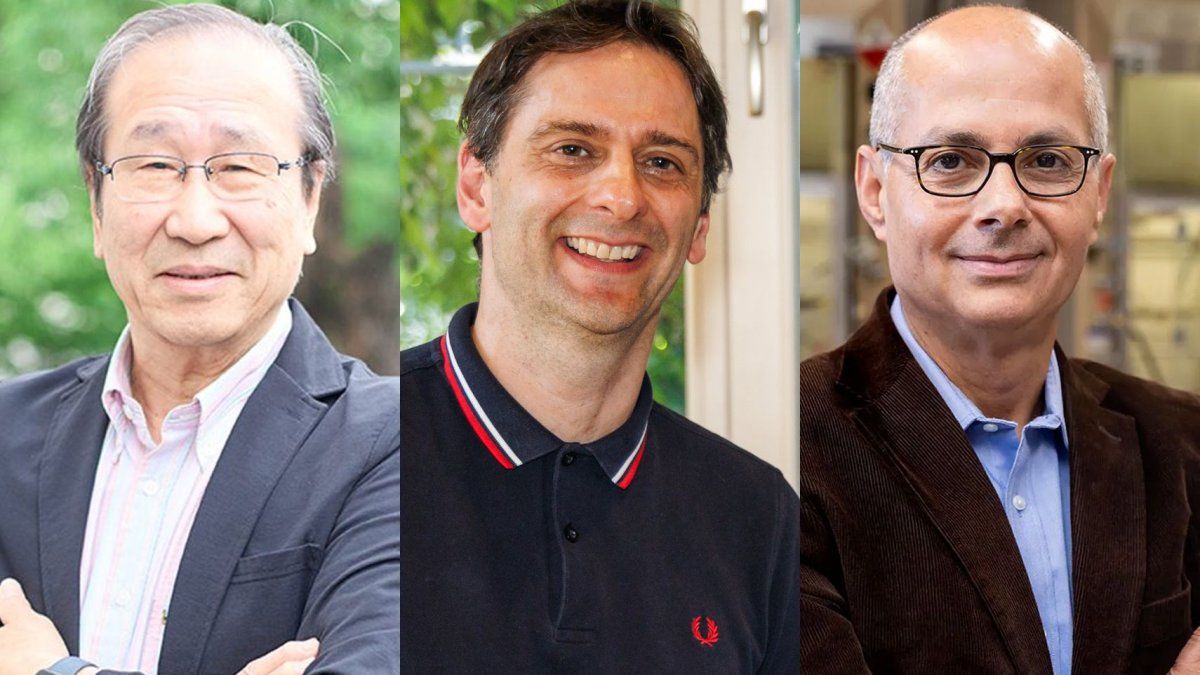 Otorgan el Premio Nobel de Química por el desarrollo de una nueva forma ...