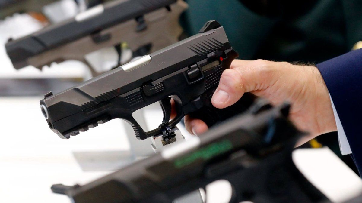 ANMaC habilitó el trámite digital para la tenencia express de armas de ...