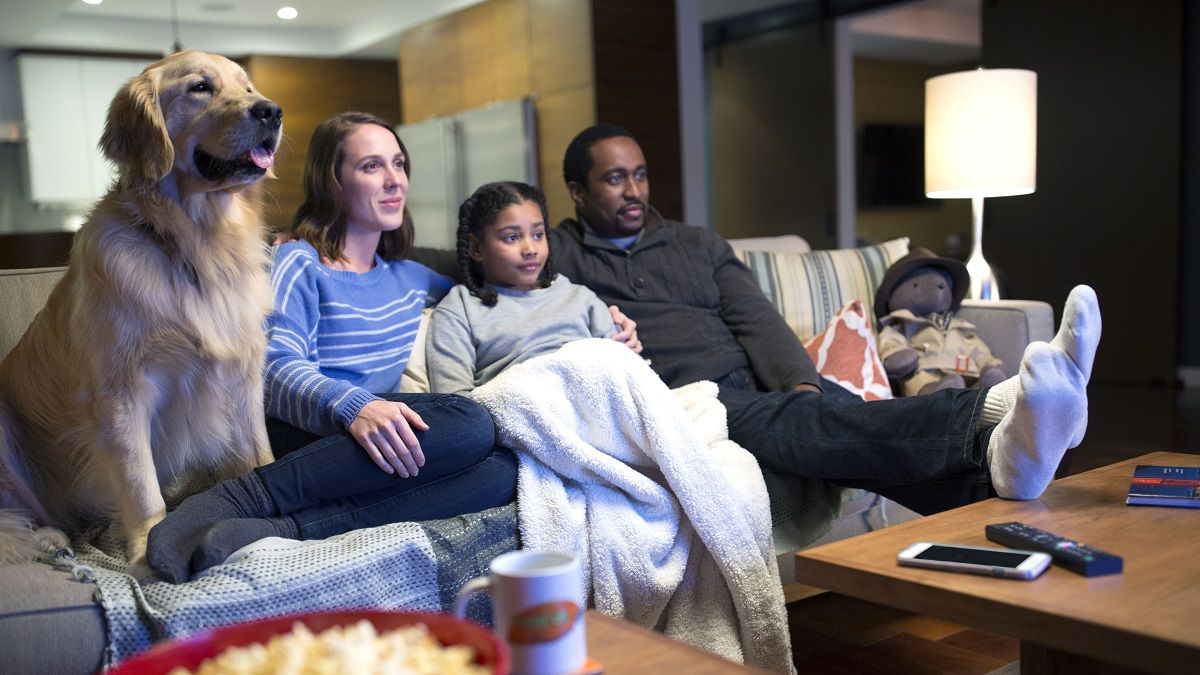 Netflix: las mascotas son los compañeros ideales para maratonear