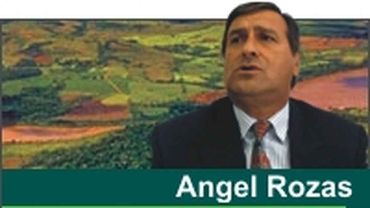 Perfil de Angel Rozas - Alianza Frente de Todos