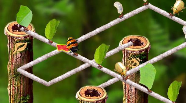 Ant Tracks: Lidera a las hormigas