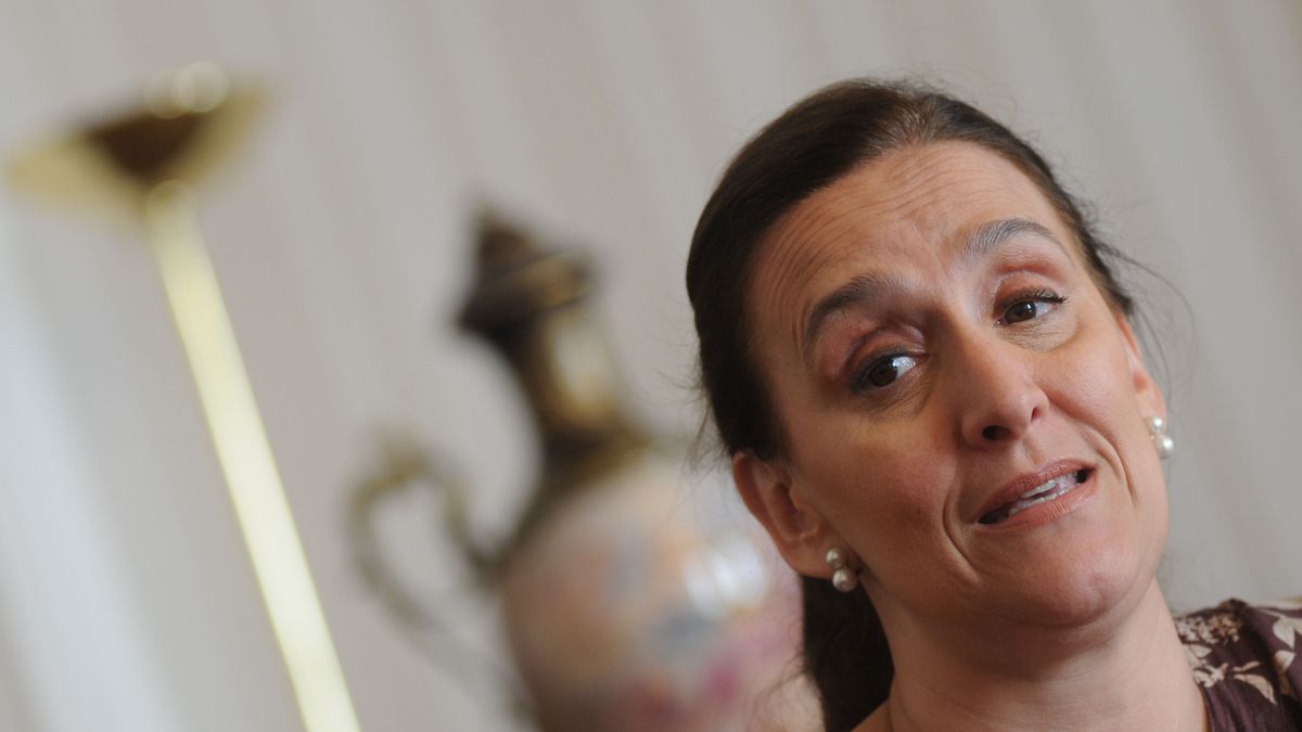 Renunció la abogada de Michetti en la causa por el origen del dinero robado