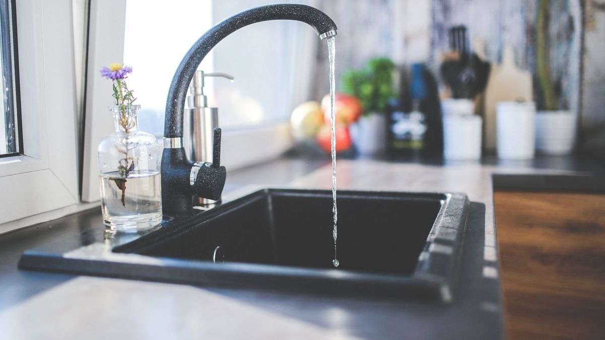 El truco casero salvador para terminar con las mosquitas de la cocina