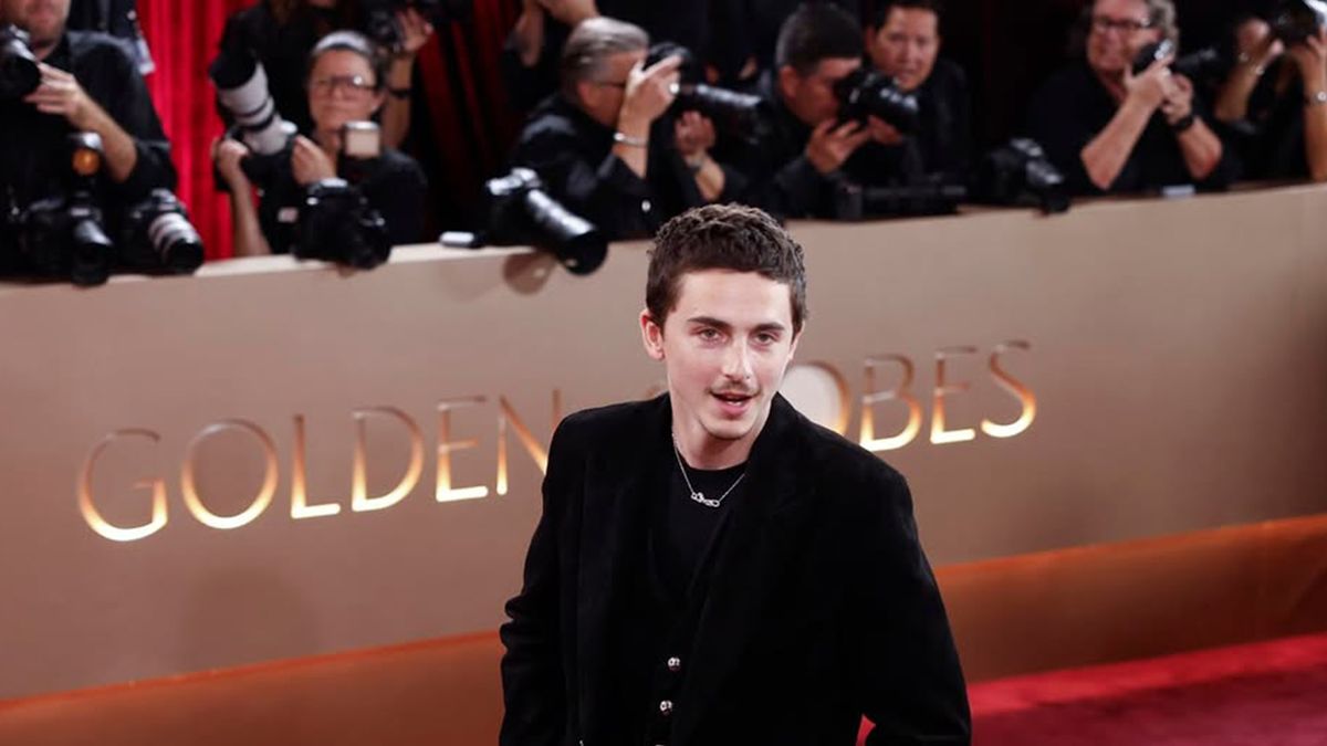 Timothée Chalamet rompe su maldición en Hollywood: la película que lo ...