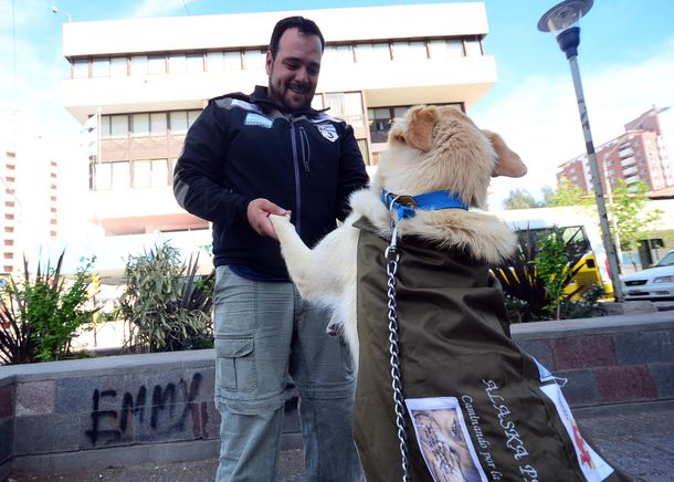 Espera llegar caminando a Alaska junto a su perro