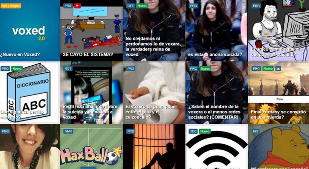 Qué es Voxed, la red social en donde la joven anunció que se iba a matar