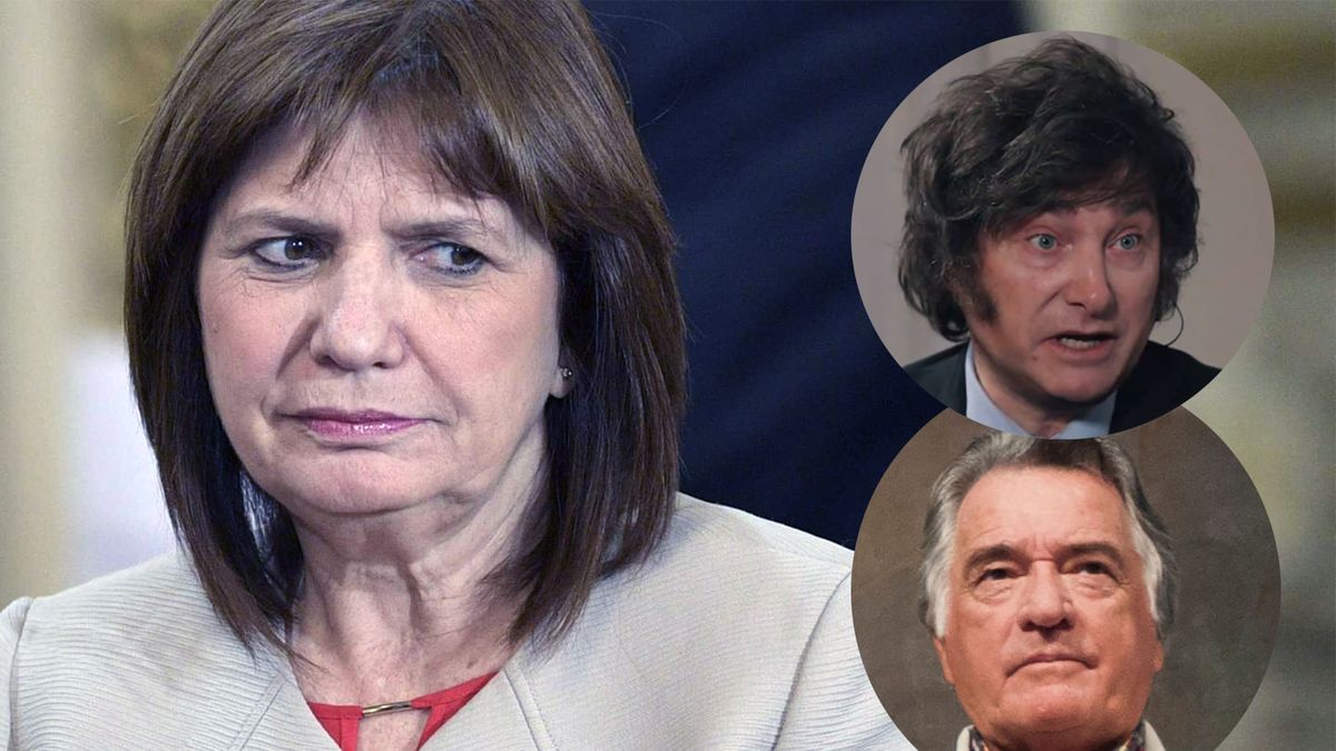 Patricia Bullrich picante con Javier Milei: La tenés adentro...