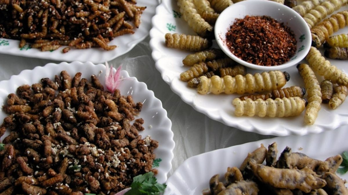 Para el fin de semana: los ocho platos elaborados con insectos