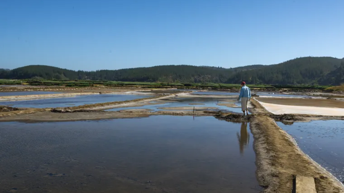 Turismo en Chile: el pueblo con pasarelas de madera para conocer y ...