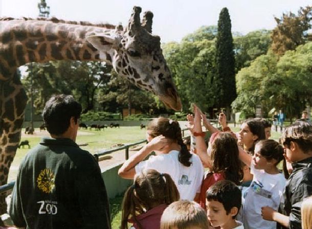 ¿Cuánto cuesta llevar a los chicos a un espectáculo infantil?