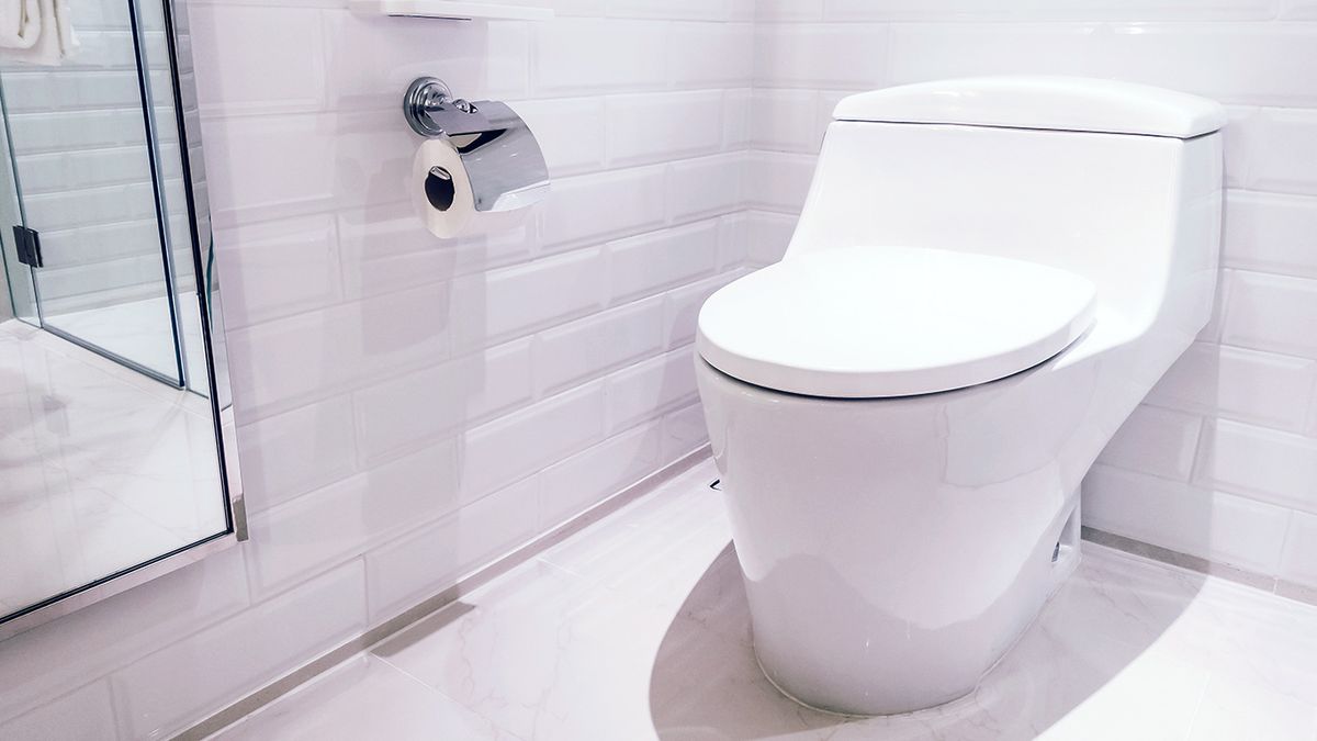 ¿Por qué el 19 de noviembre es el Día Mundial del Inodoro?